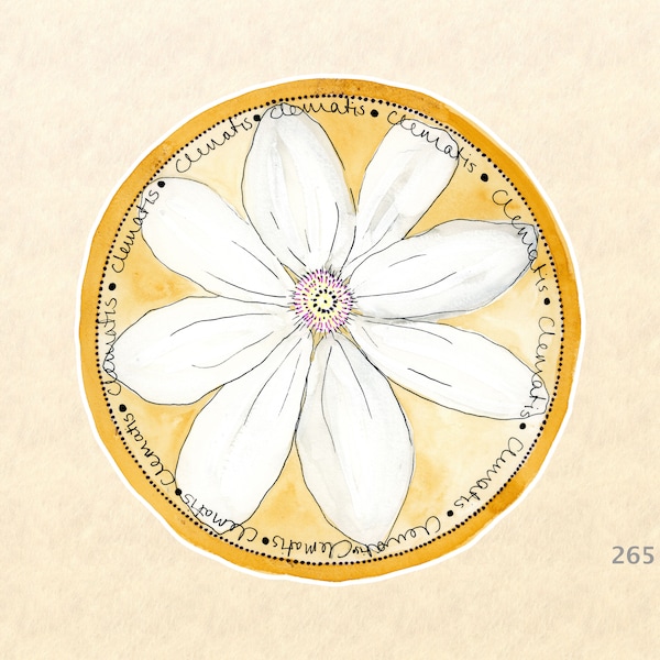Clematis - Etsy