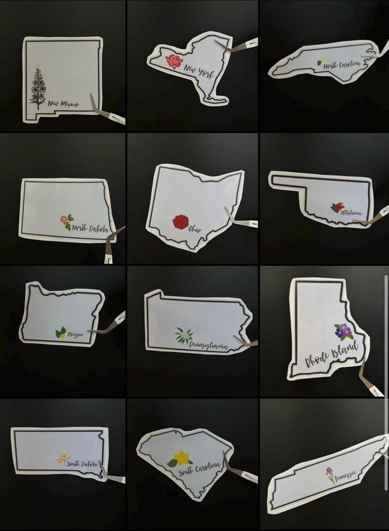 US State and State Flower Sticker States - Etsy