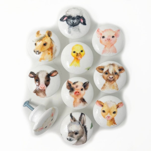 Animal Knobs - Etsy