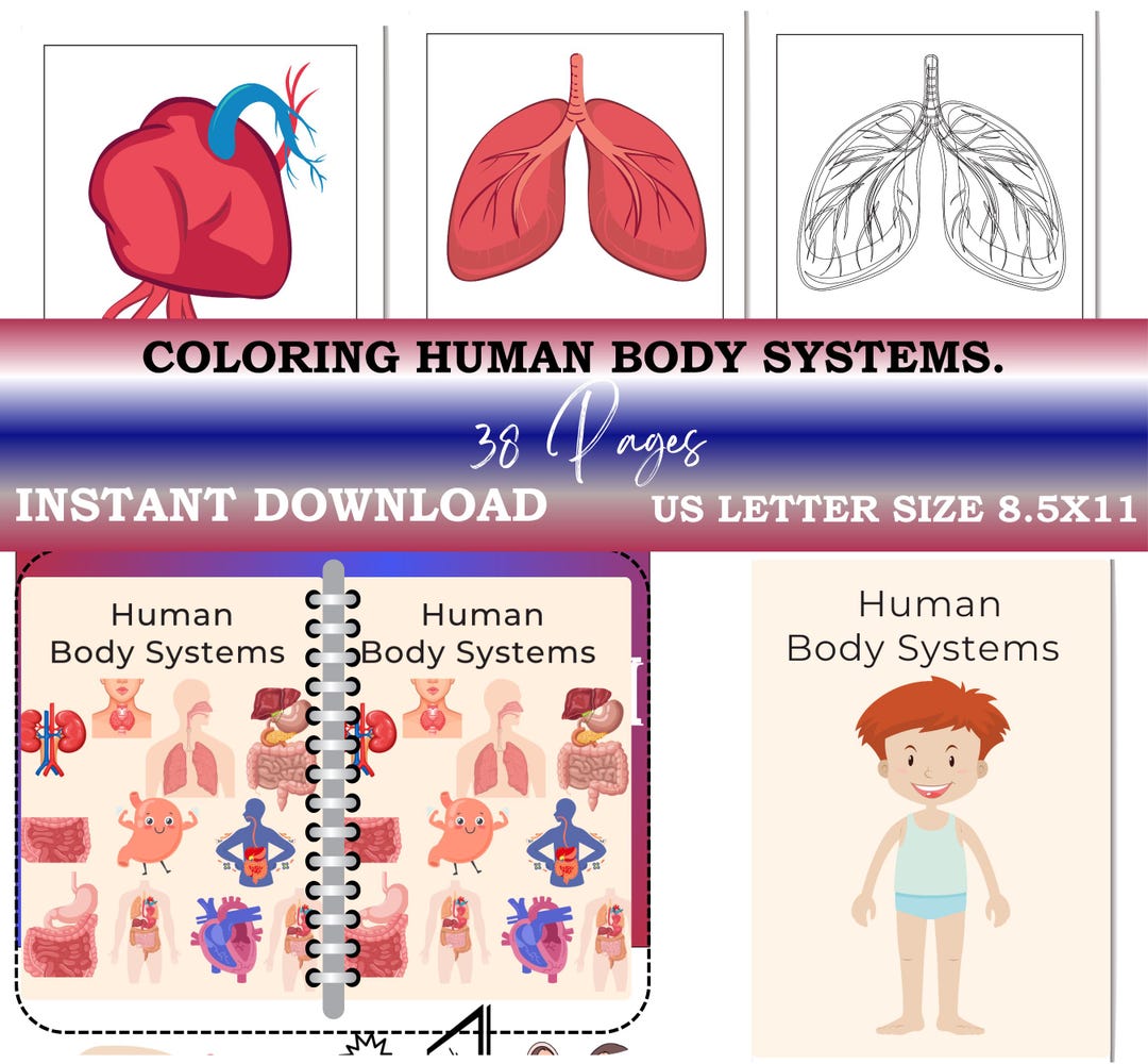 Coloring HUMAN BODY SYSTEMS Workbook Human Body College Coloring ...