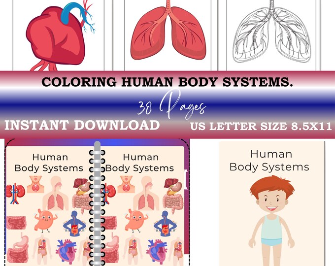 Coloring HUMAN BODY SYSTEMS Workbook Human Body College Coloring ...