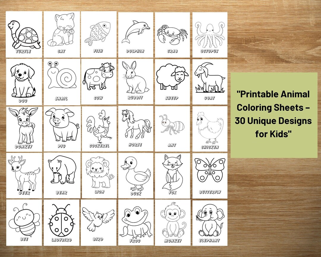 30 Unique Animal Coloring Pages for Children: Printable Zoo & Wildlife ...