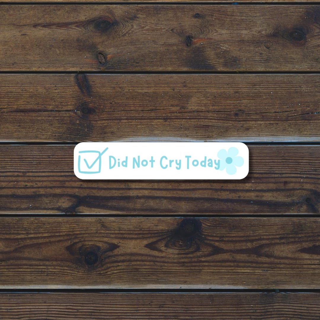Did Not Cry Today Sticker, Funny Sticker, Meme Sticker, Cute Sticker ...