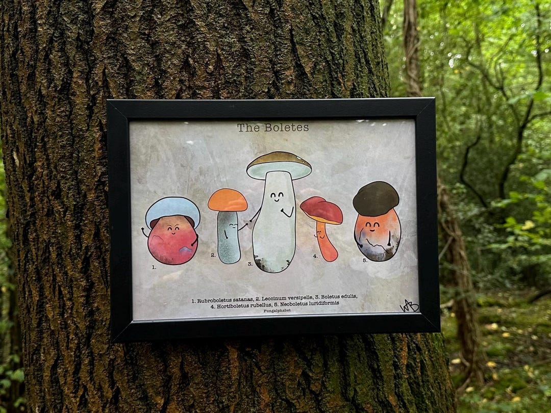 The Boletes Fungalphabet Family A4 Print. Bolete Fungi, Art, Nursery ...