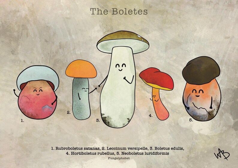 The Boletes Fungalphabet Family A4 Print. Bolete Fungi, Art, Nursery ...