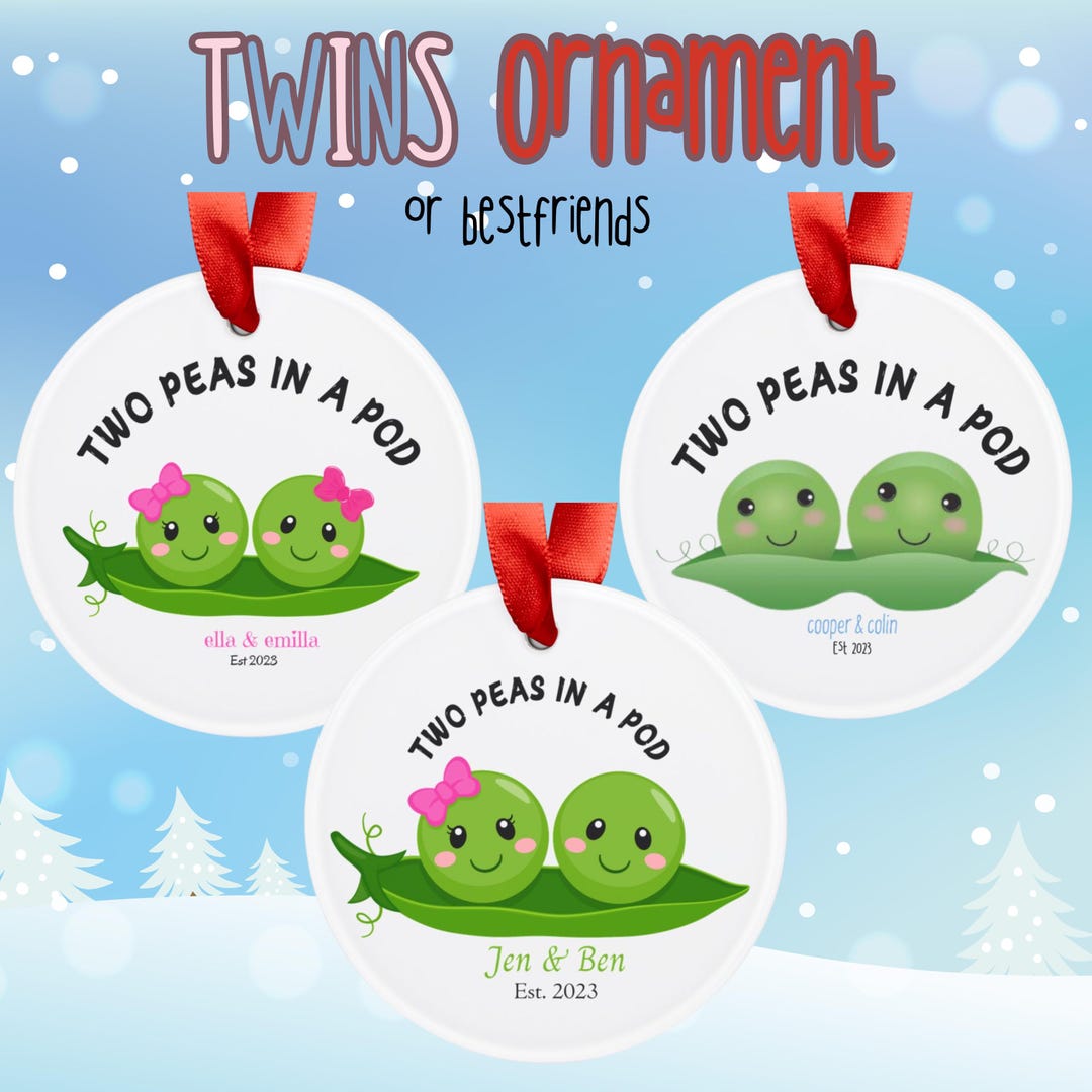 Twin, Sibs, or Best Friend Acrylic Ornament With Ribbon - Etsy