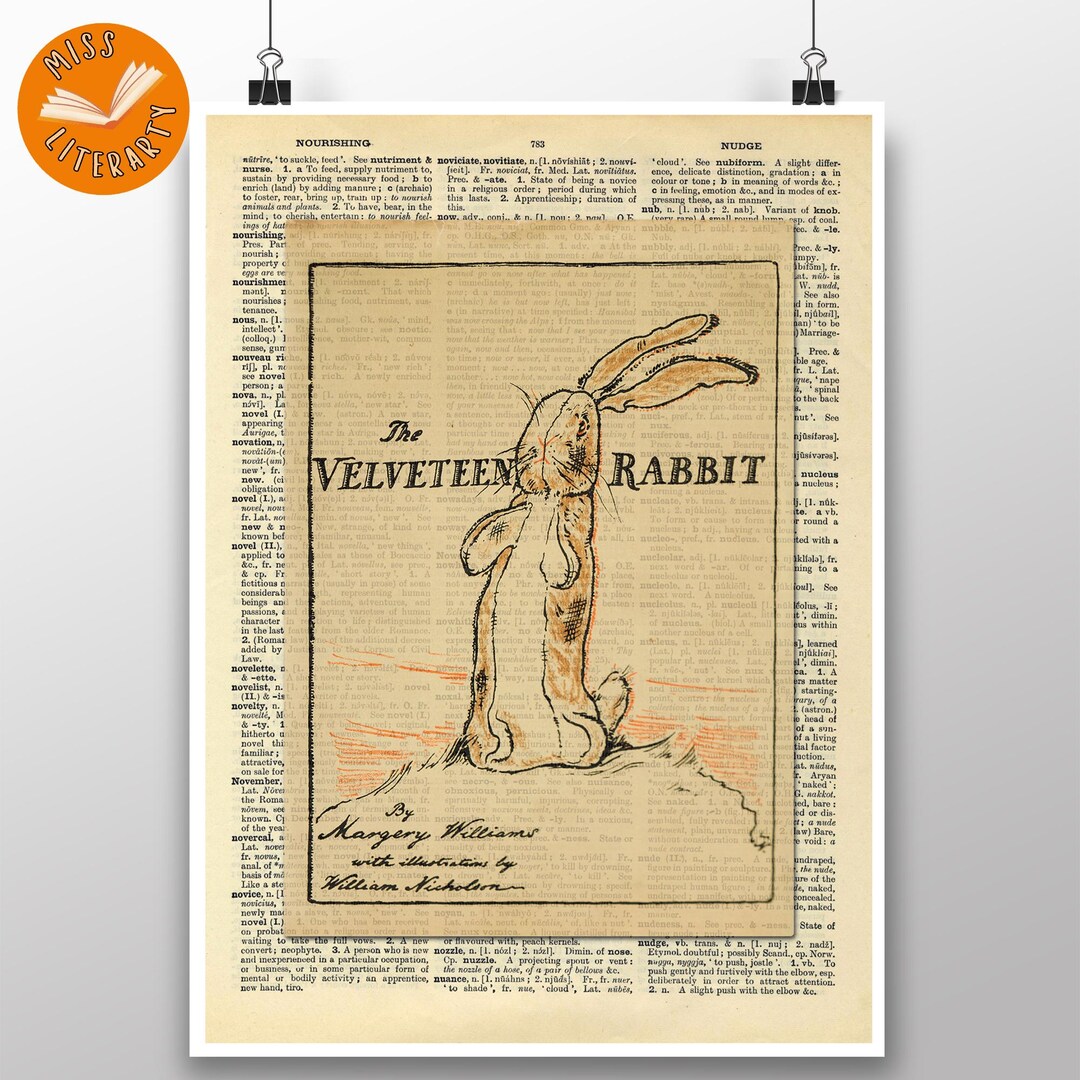 The Velveteen Rabbit - 1st Edition Cover - Vintage Dictionary Page ...