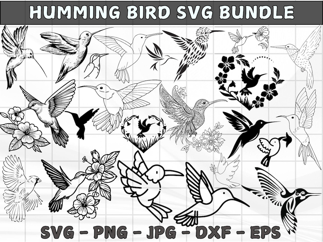 Hummingbird SVG, Hummingbird Bundle Svg, Hummingbird Clipart ...