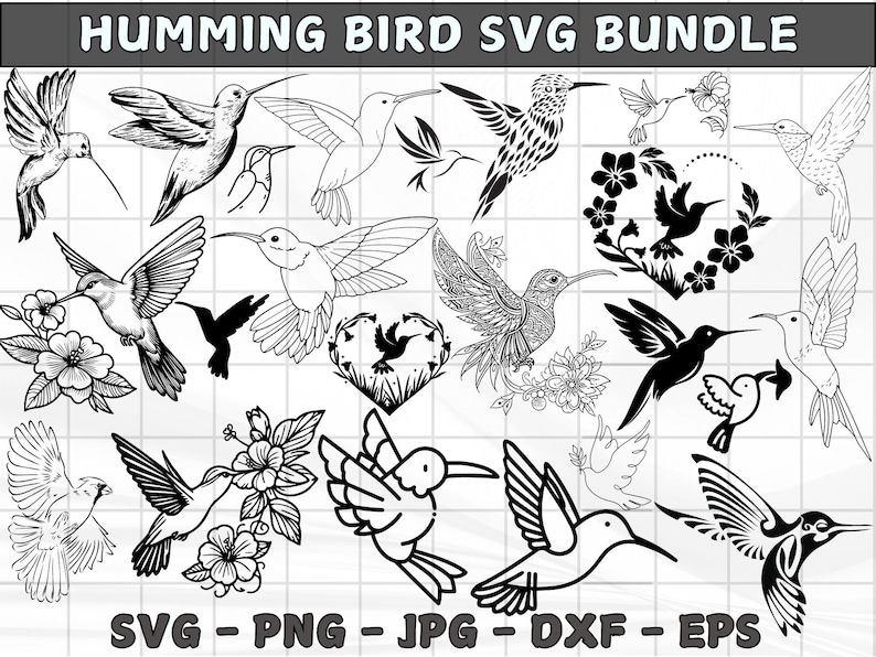 Hummingbird SVG, Hummingbird Bundle Svg, Hummingbird Clipart ...