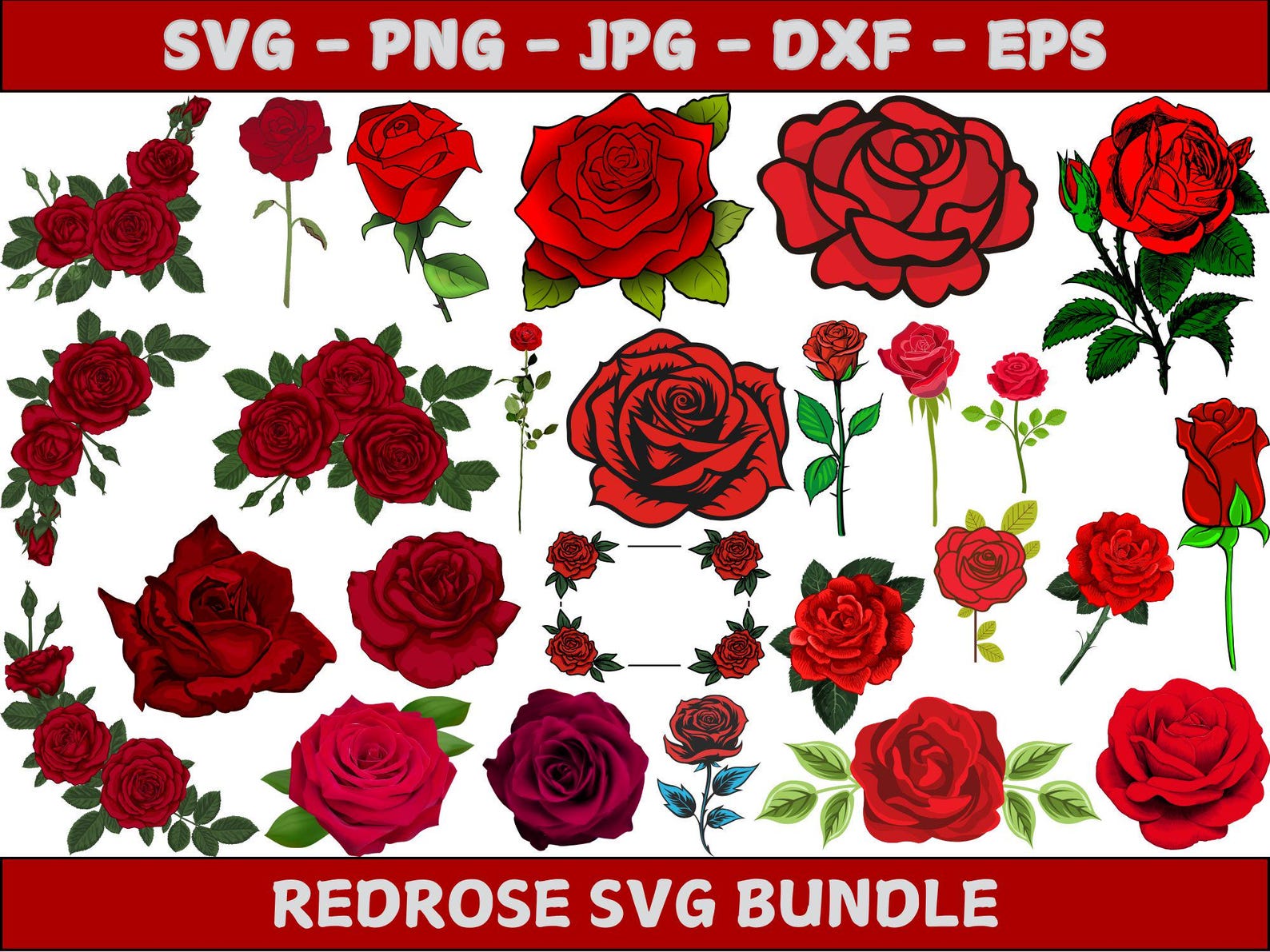 Red Rose Clipart | Red Rose Svg | Rose Svg Bundle | Red Rose Png ...