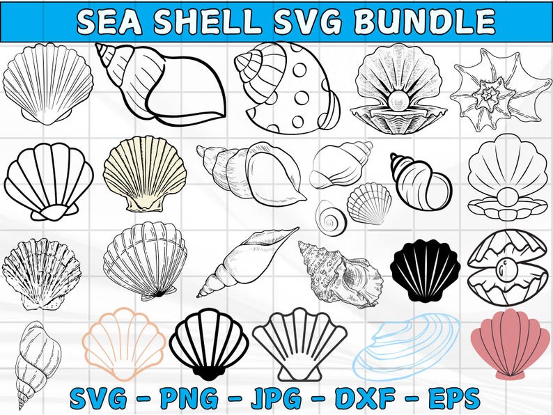 Seashell SVG Bundle, Seashell PNG Bundle, Seashell Clipart, Seashell ...