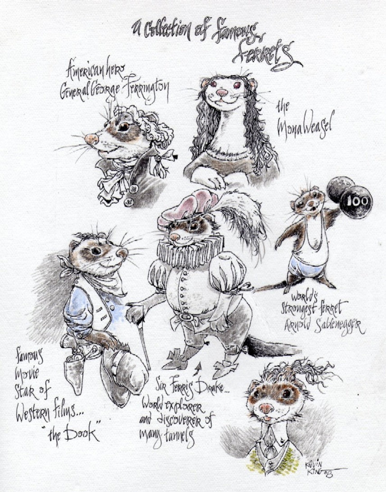 Collection of Famous Ferrets Animal Art Print Illustration Drawing by ...