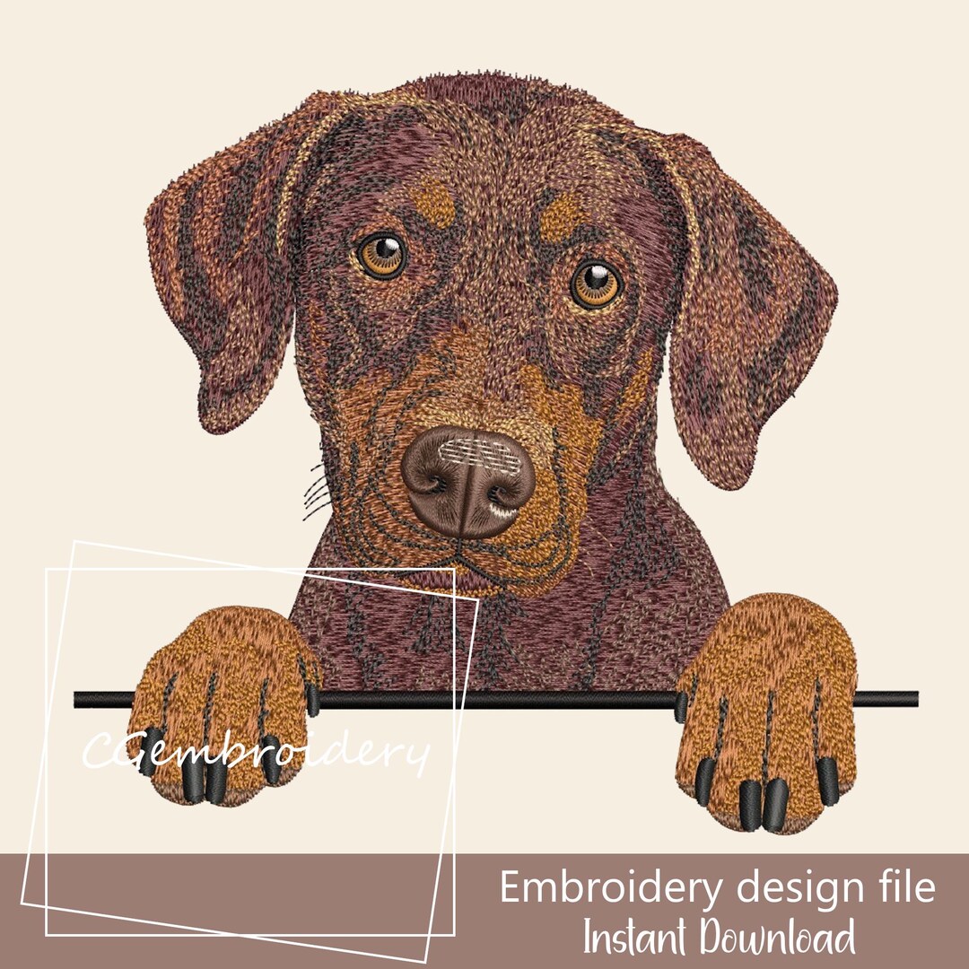 German Shorthaired Pointer Dog Embroidery Design, Peeking GSP Dog ...
