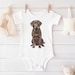 Labrador Dog Embroidery Design, Cute Chocolate Lab Dog Embroidery File ...