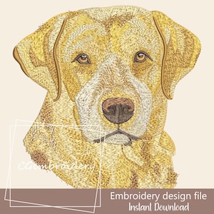 Yellow Labrador Embroidery Design, Labrador Retriever Embroidery File ...