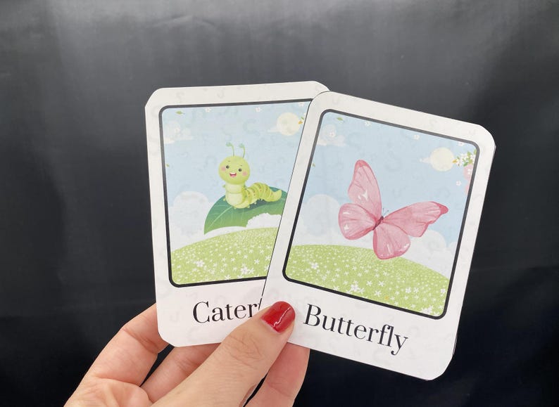 Insects Memory Game | Bugs Matching Game | Picture Matching | Word ...