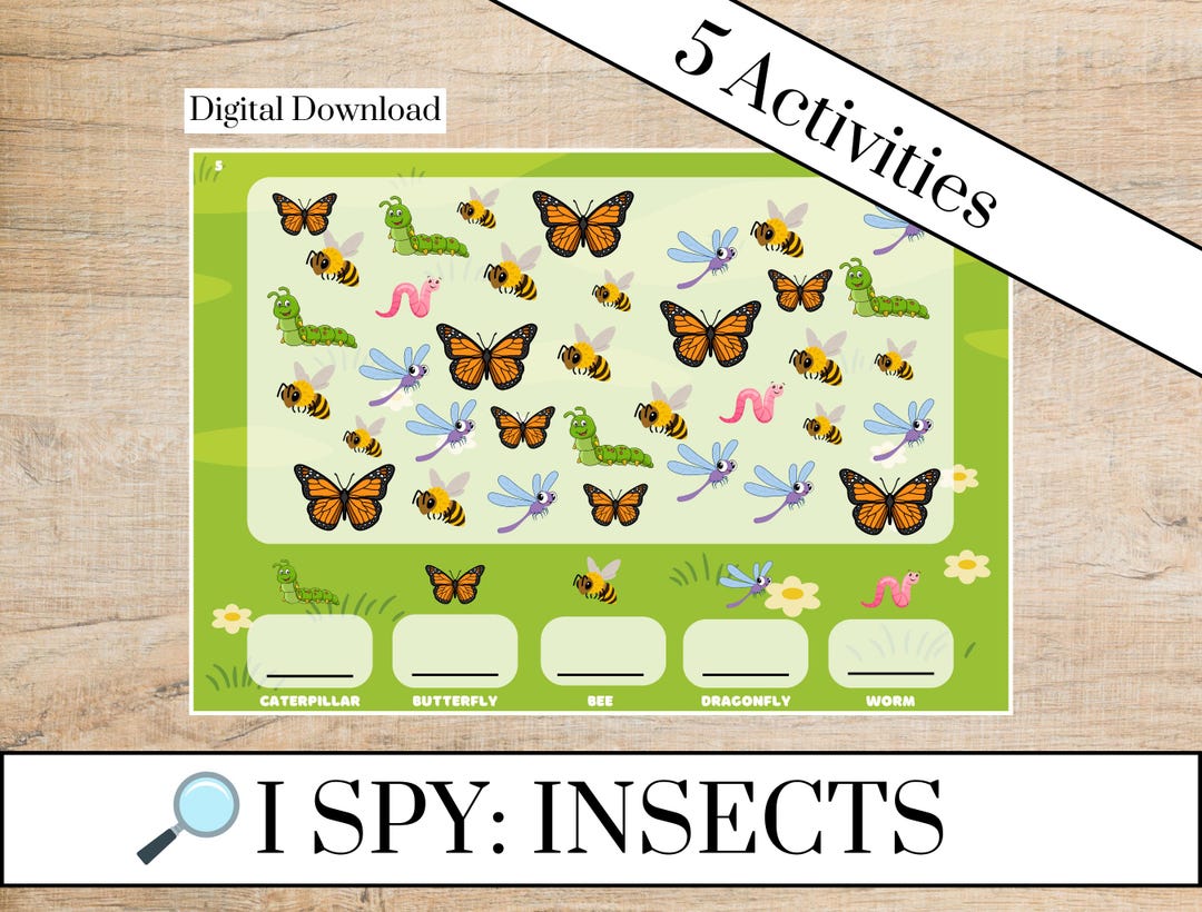 I Spy Insects Counting Activity | Bugs Insects Printable Counting ...