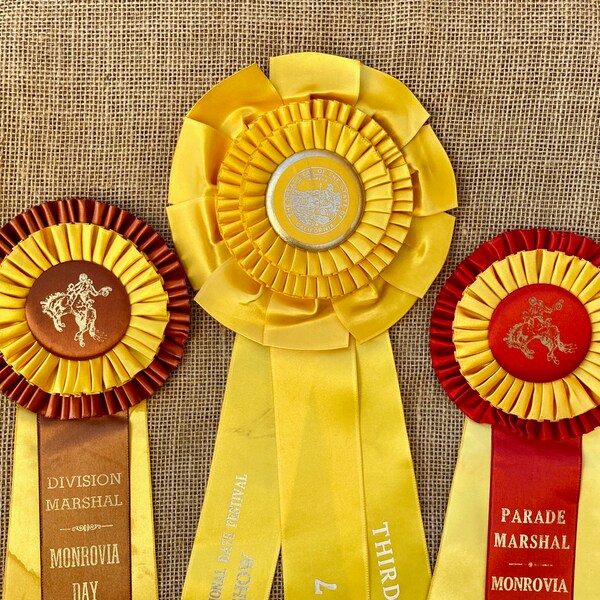Horse Show Awards - Etsy