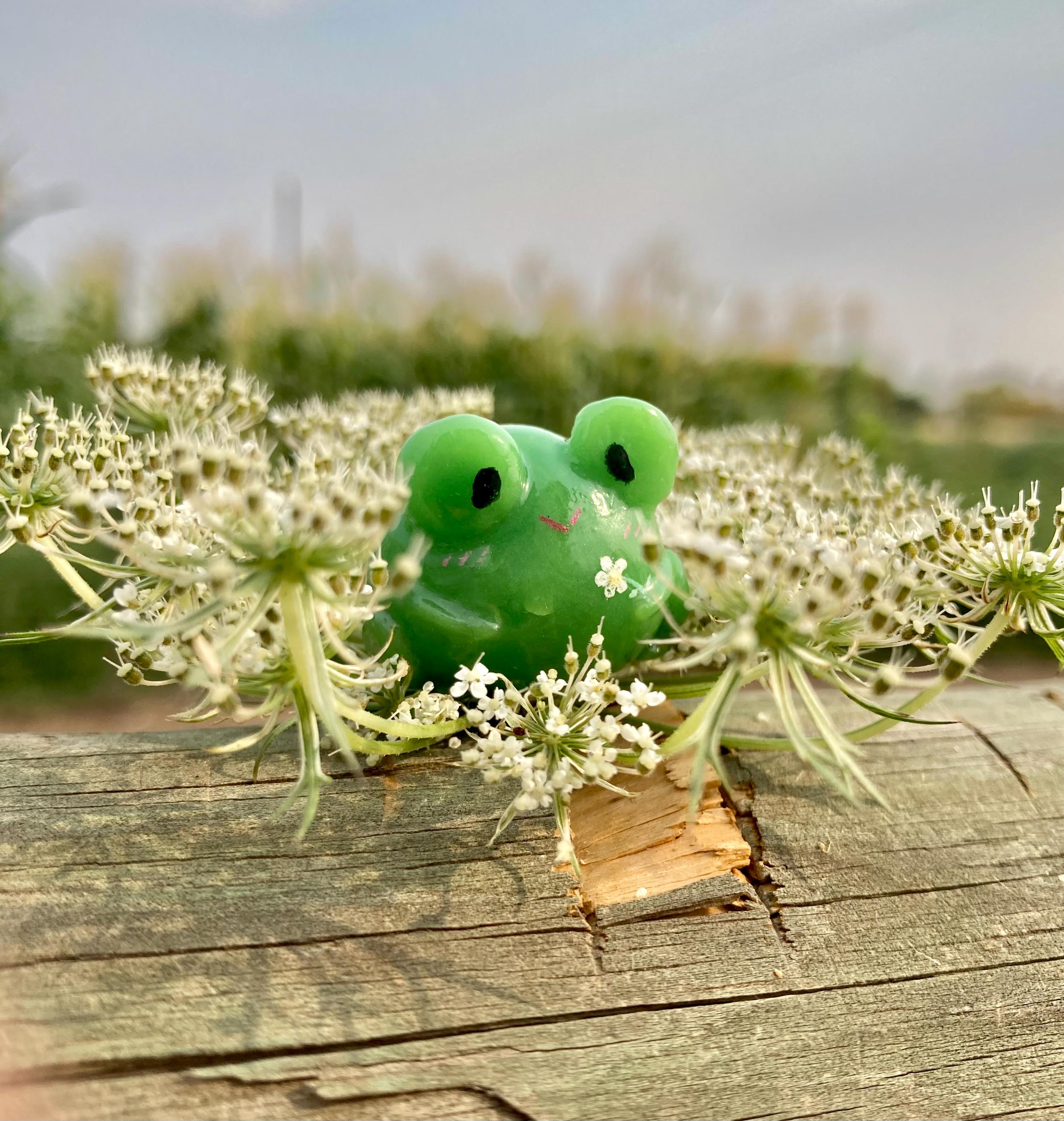 LIMITED EDITION - Frogitto the Frog | Frog, Desk Friend, Fine Art, Desk ...