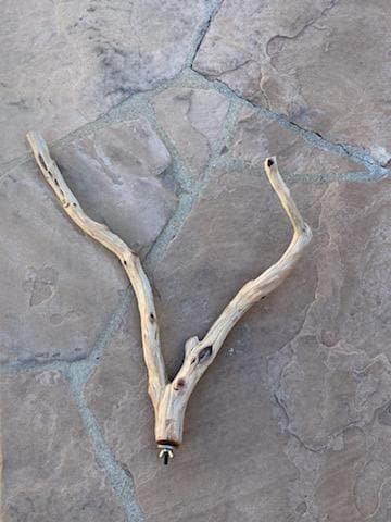 Manzanita Wood Multi Branch Bird Perch Natural Parrot Perches Aviary ...