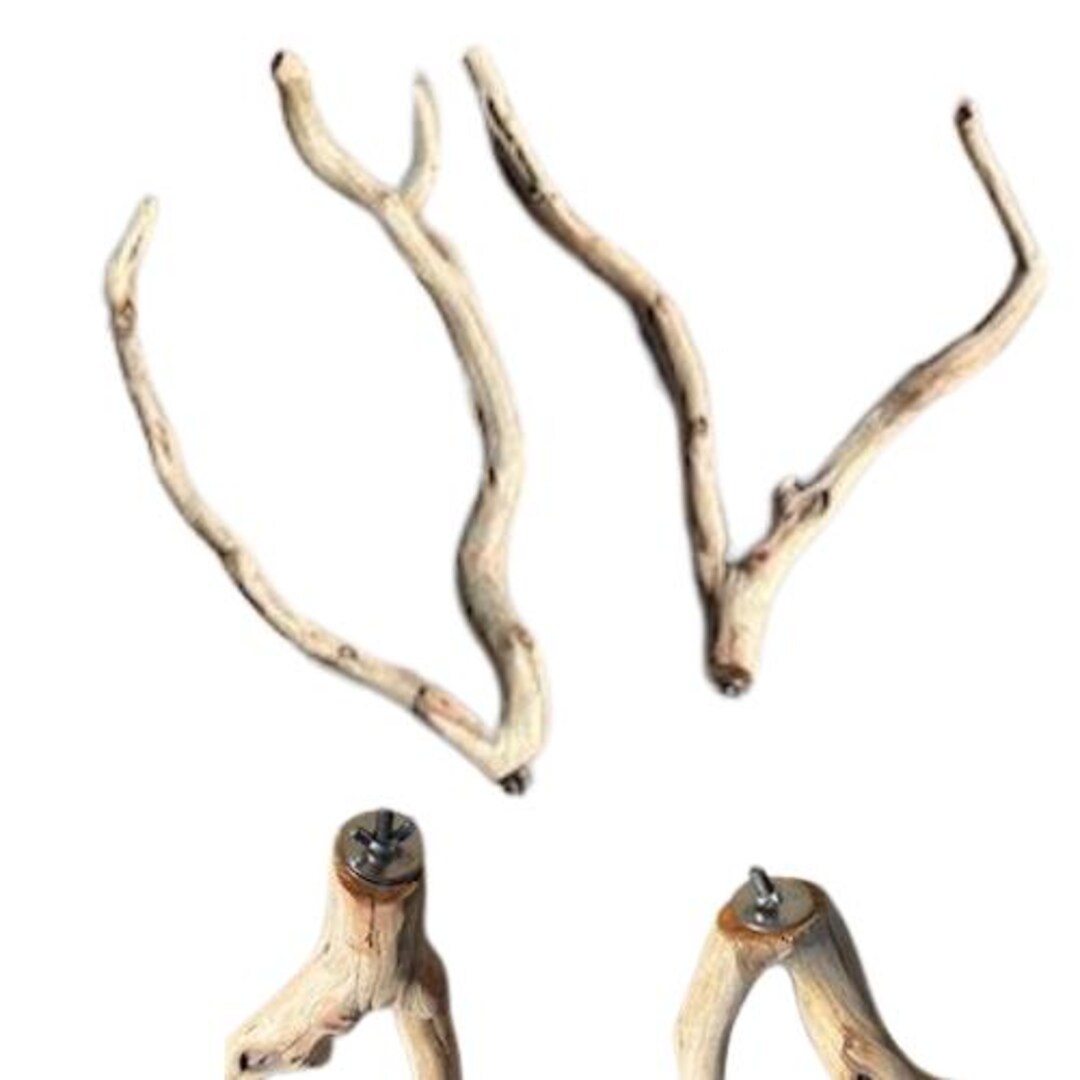 Manzanita Wood Multi Branch Bird Perch | Natural Parrot Perches ...