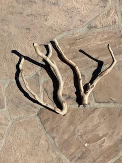 Manzanita Wood Multi Branch Bird Perch Natural Parrot Perches Aviary ...