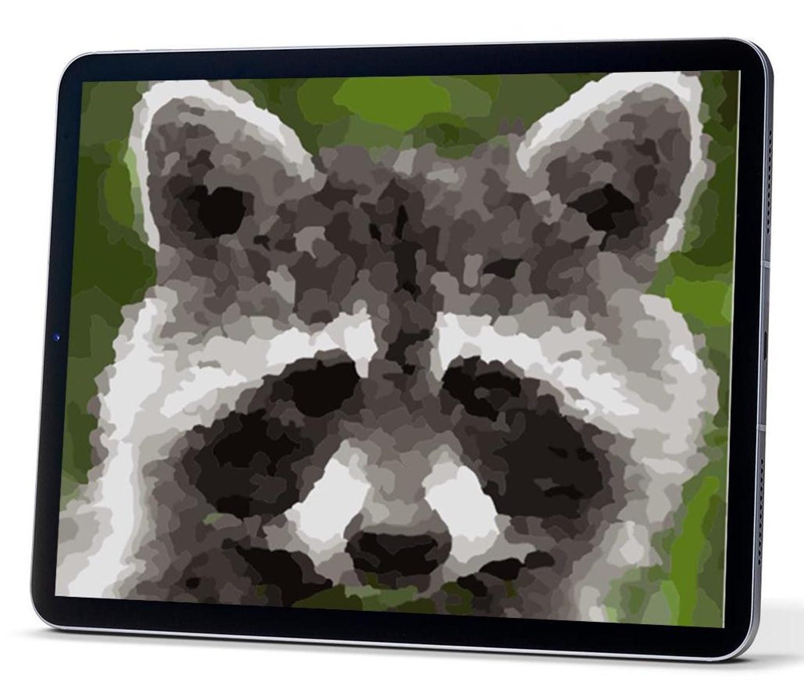 Color by Numbers for Adults Cute Racoon Printable Paint by Numbers ...
