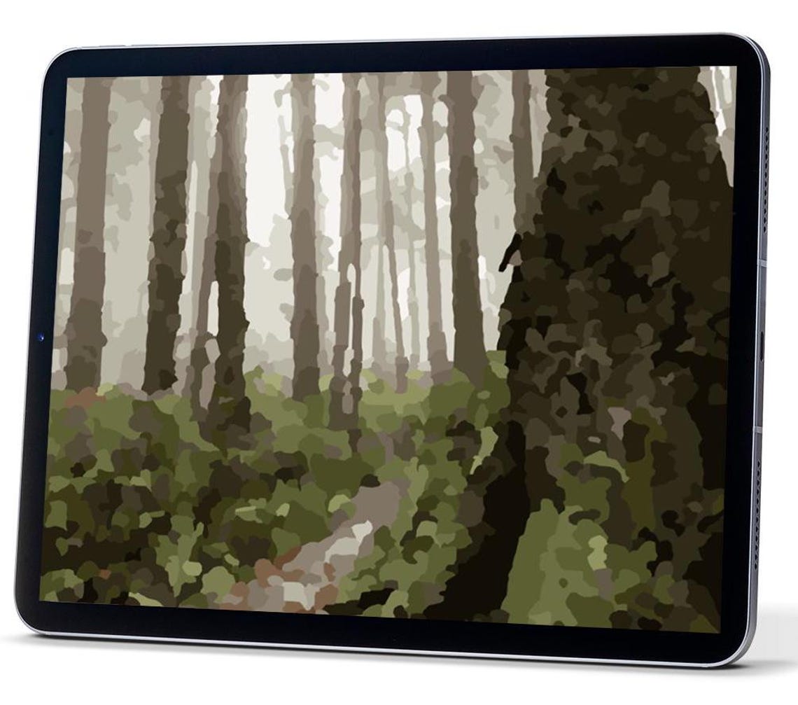 Mystical Foggy Forest Paint by Number Kit Create Serene Landscape Art ...