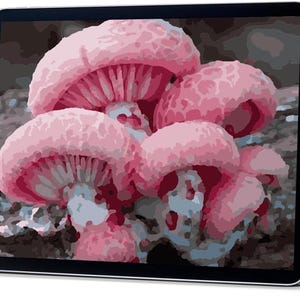 Color by Numbers for Adults Pink Mushroom Printable Paint by Numbers ...