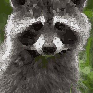 Color by Numbers for Adults Cute Racoon Printable Paint by Numbers ...