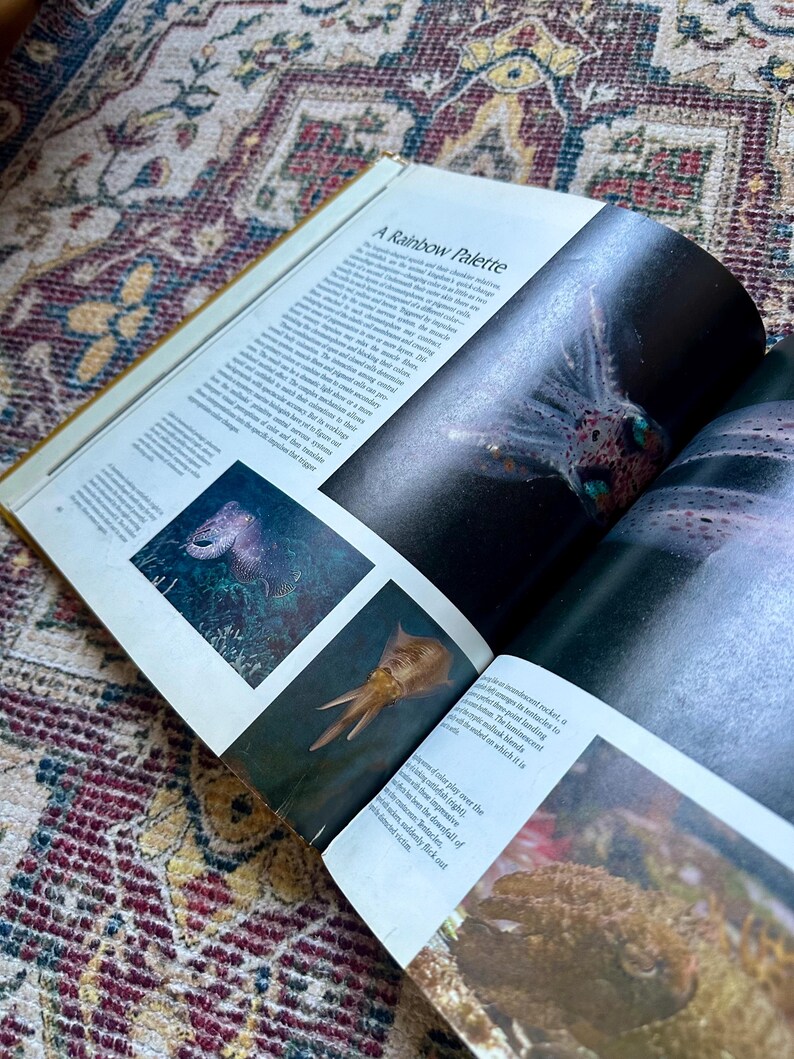 Wild, Wild World of Animals: Animal Defenses, 1970s Hardcover, Animal ...