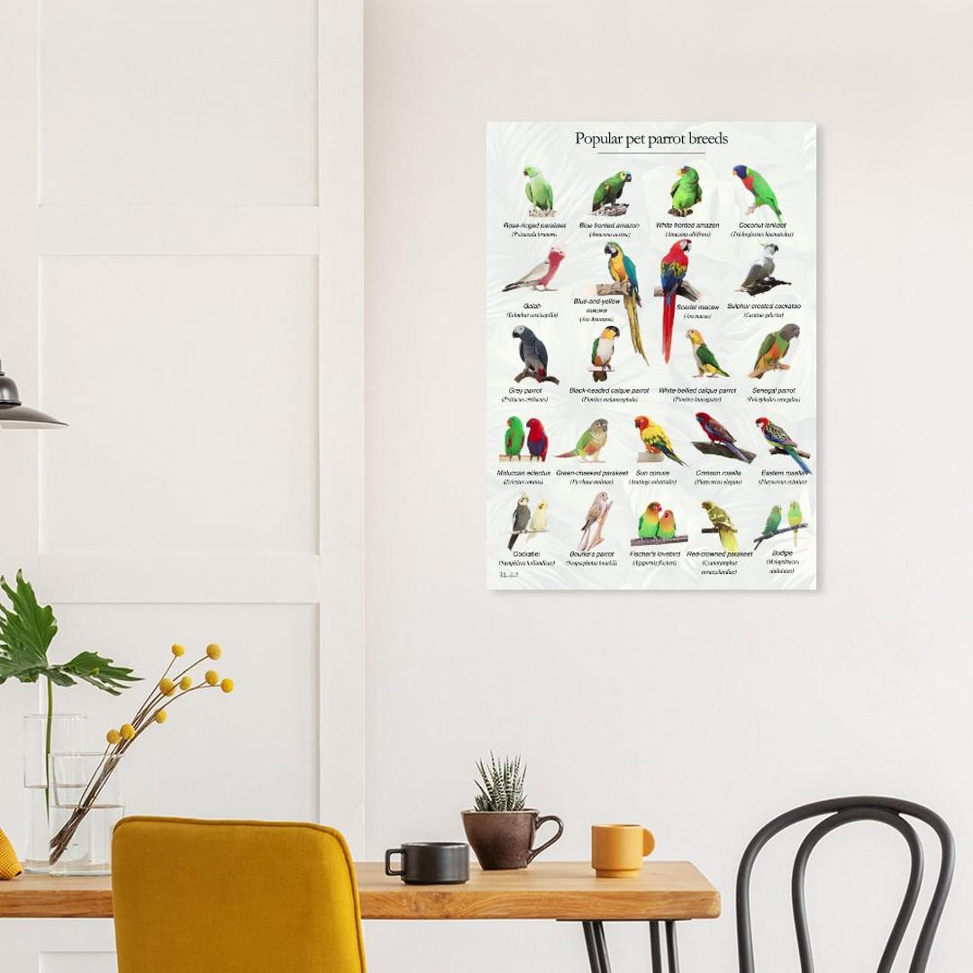 Parrot Breeds Painting Poster / Birds Species Poster / Mural Art ...