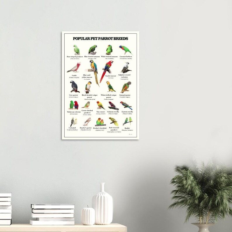 Parrot Breeds Painting Poster / Birds Species Poster / Wall Art / Animal Type Poster - Etsy