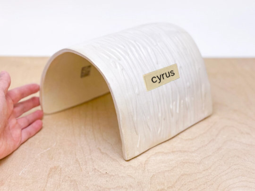 Personalized Large Axolotl Tunnel, White Axolotl Hide, Reptile Tank ...