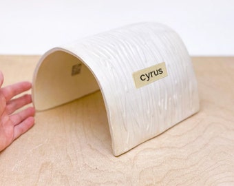 Axolotl Tunnel Large, Blue Axolotl Hide, Reptile Tank Decor, Turtle ...