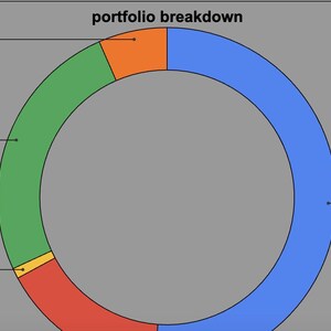 Stock Portfolio for Beginners - Etsy