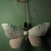 Moth Wall Lamp - Etsy