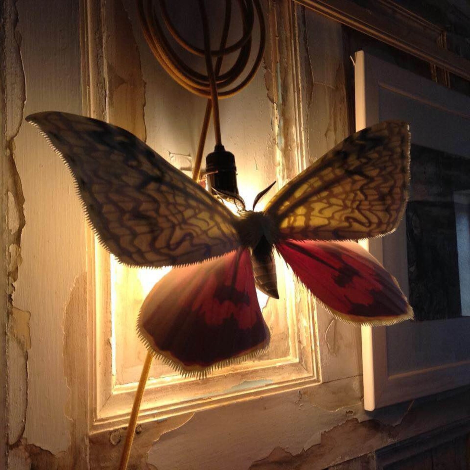 Moth Wall Lamp - Etsy