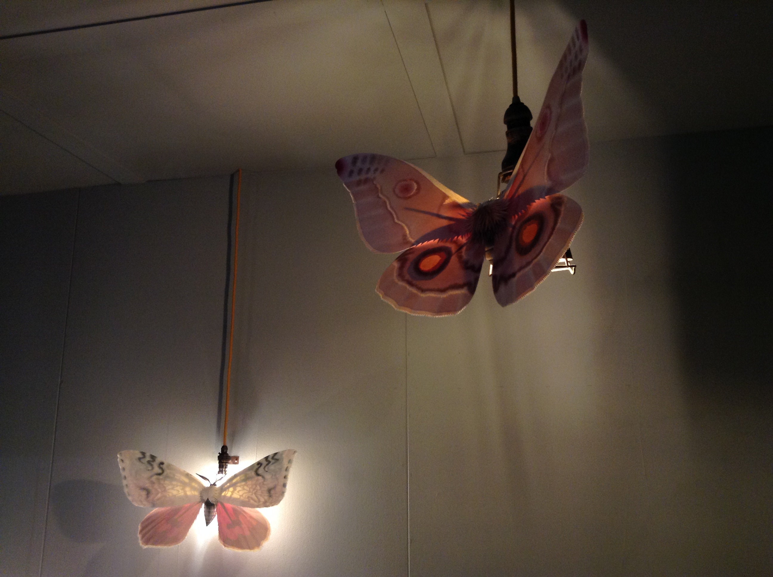 Moth Wall Lamp - Etsy