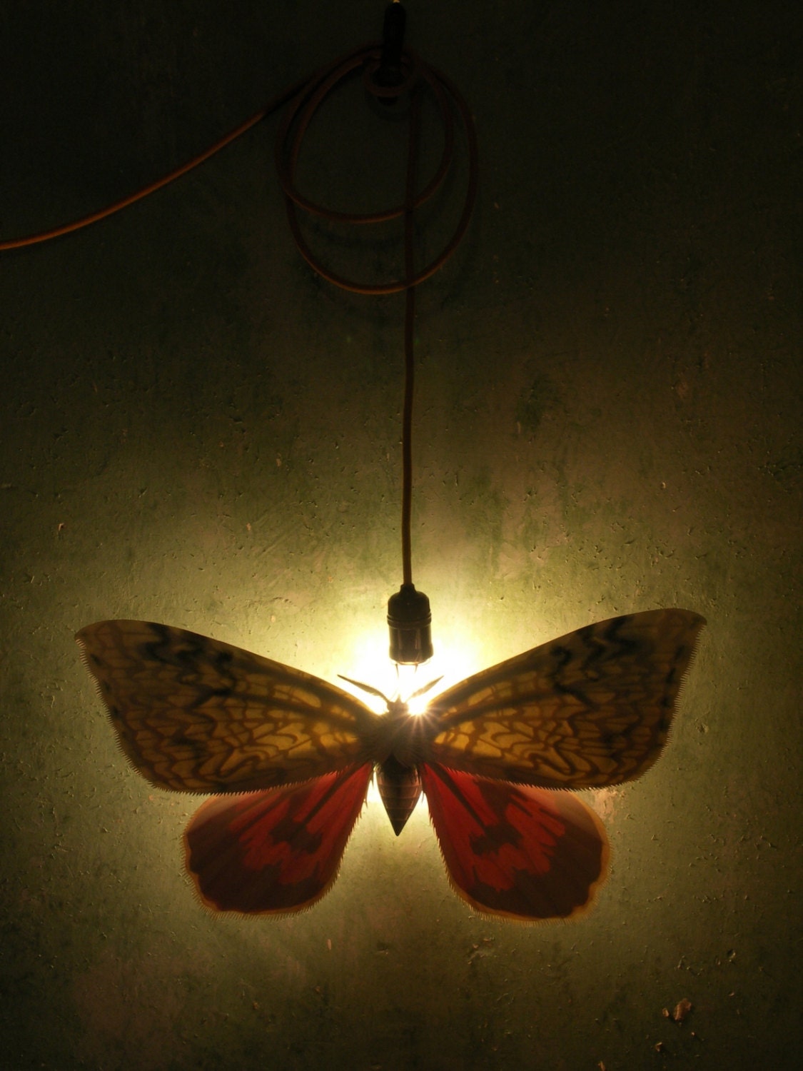 Moth Wall Lamp - Etsy