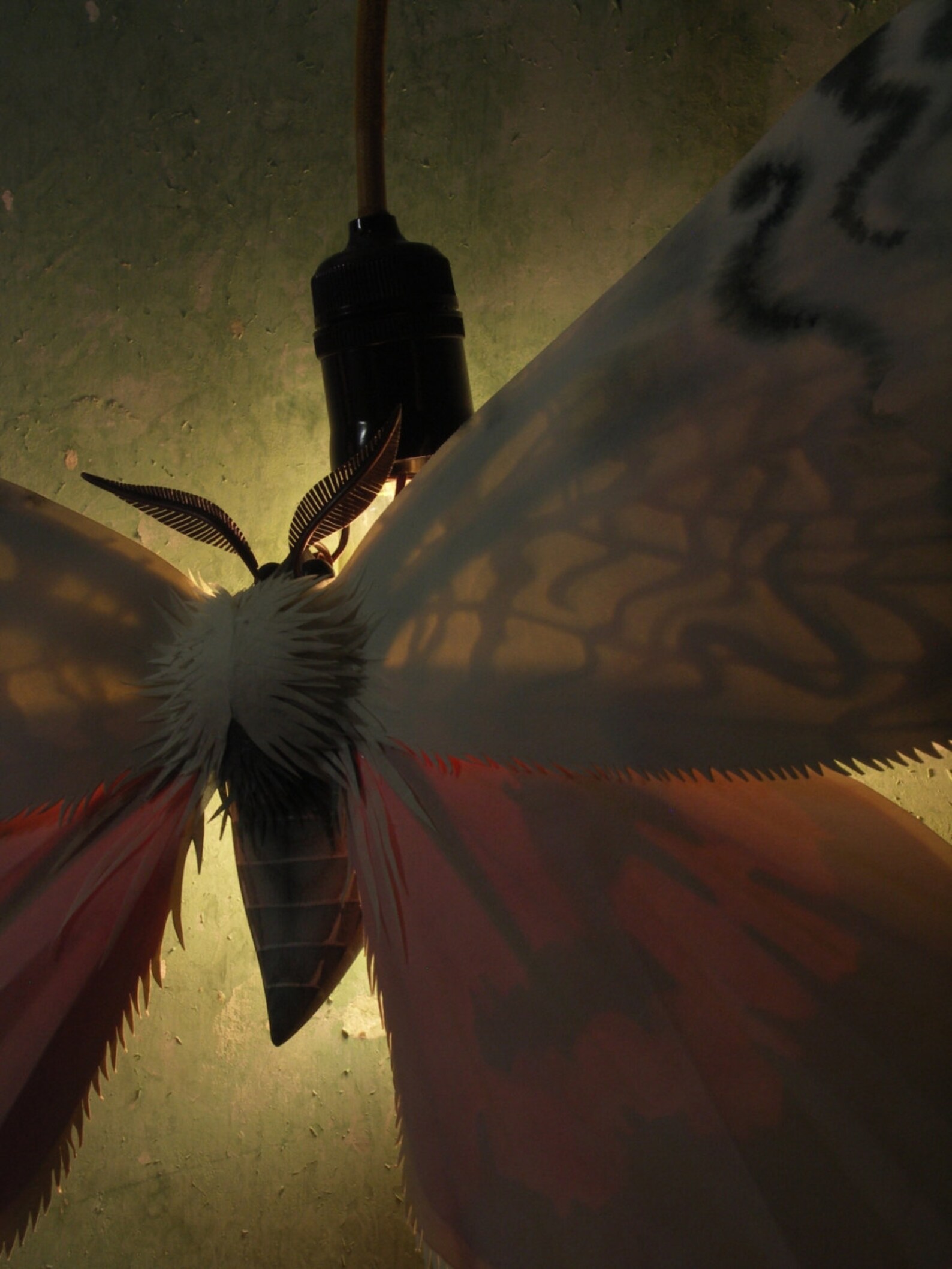 Moth Wall Lamp - Etsy