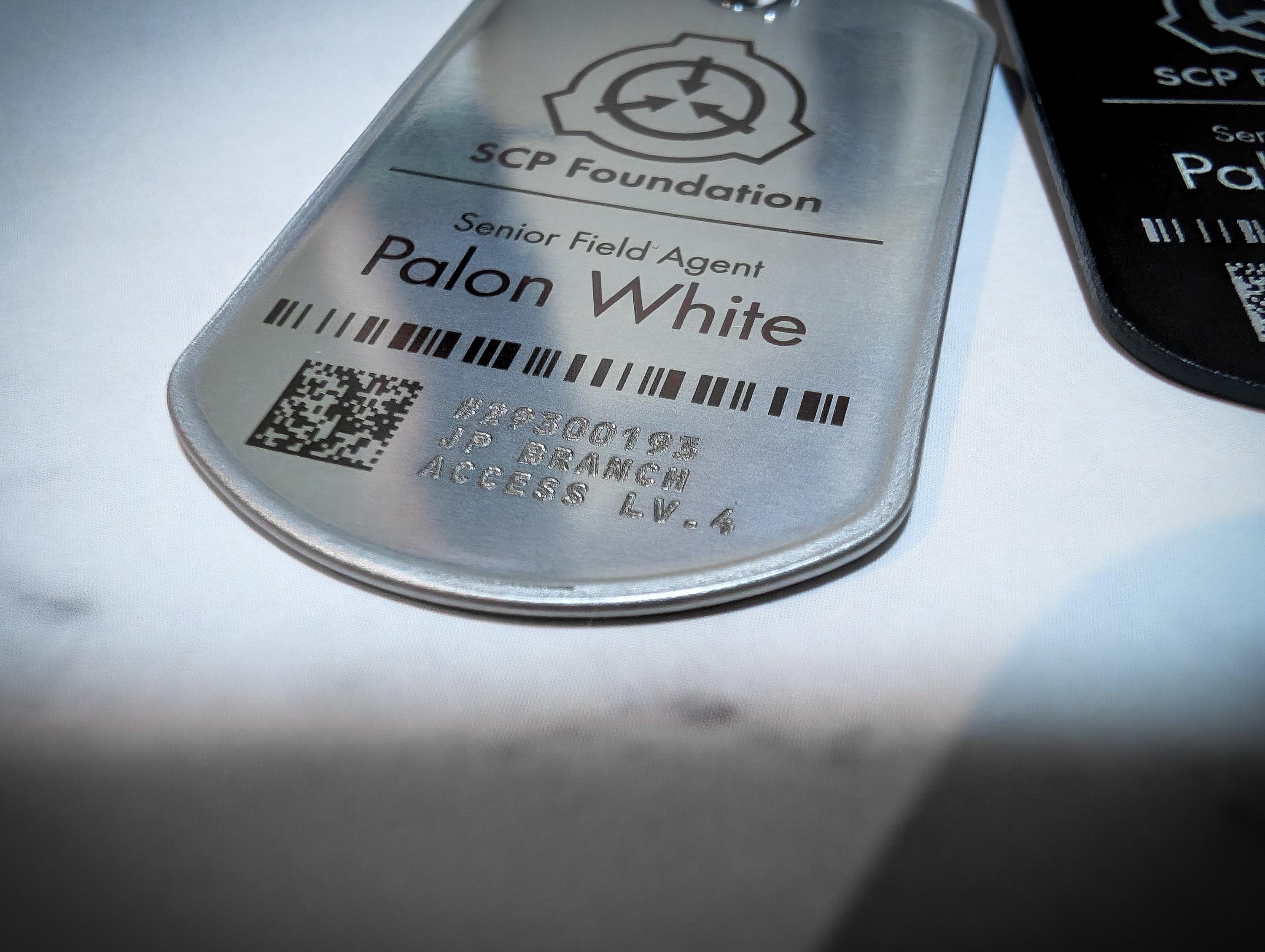 Personalized SCP Agent Dog Tag Necklace or Keychain, Cosplay Props - Etsy