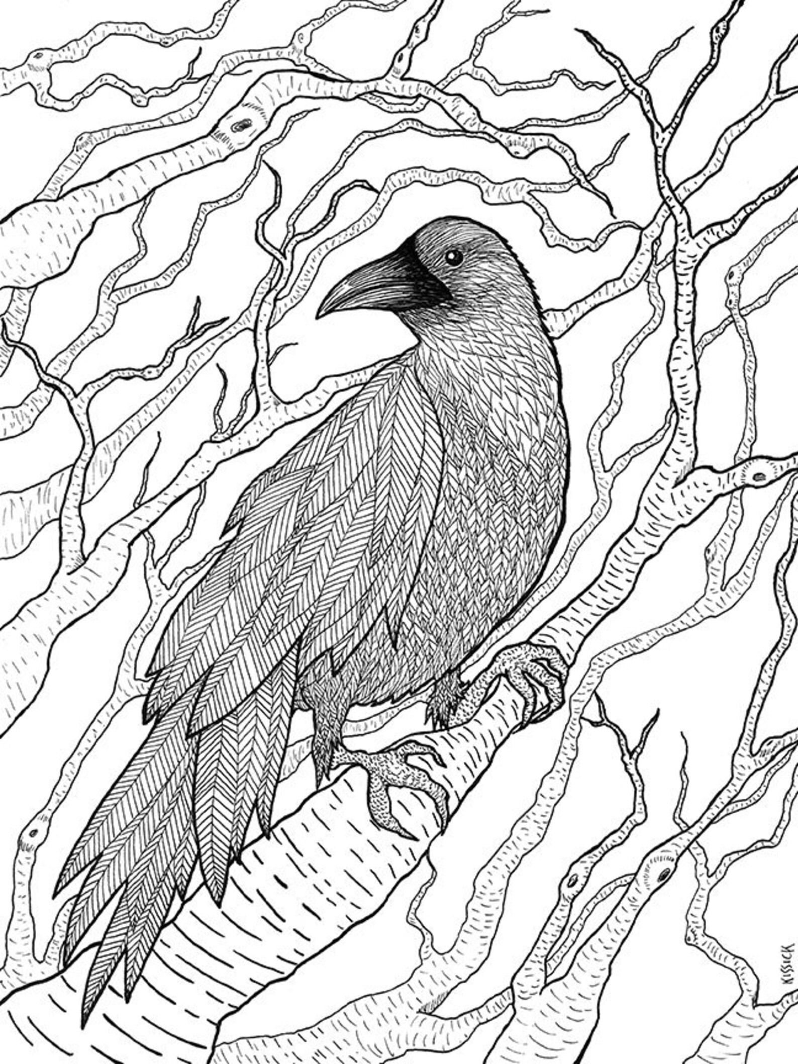 Pretty Dreadful Coloring Pages Halloween Coloring Book - Etsy