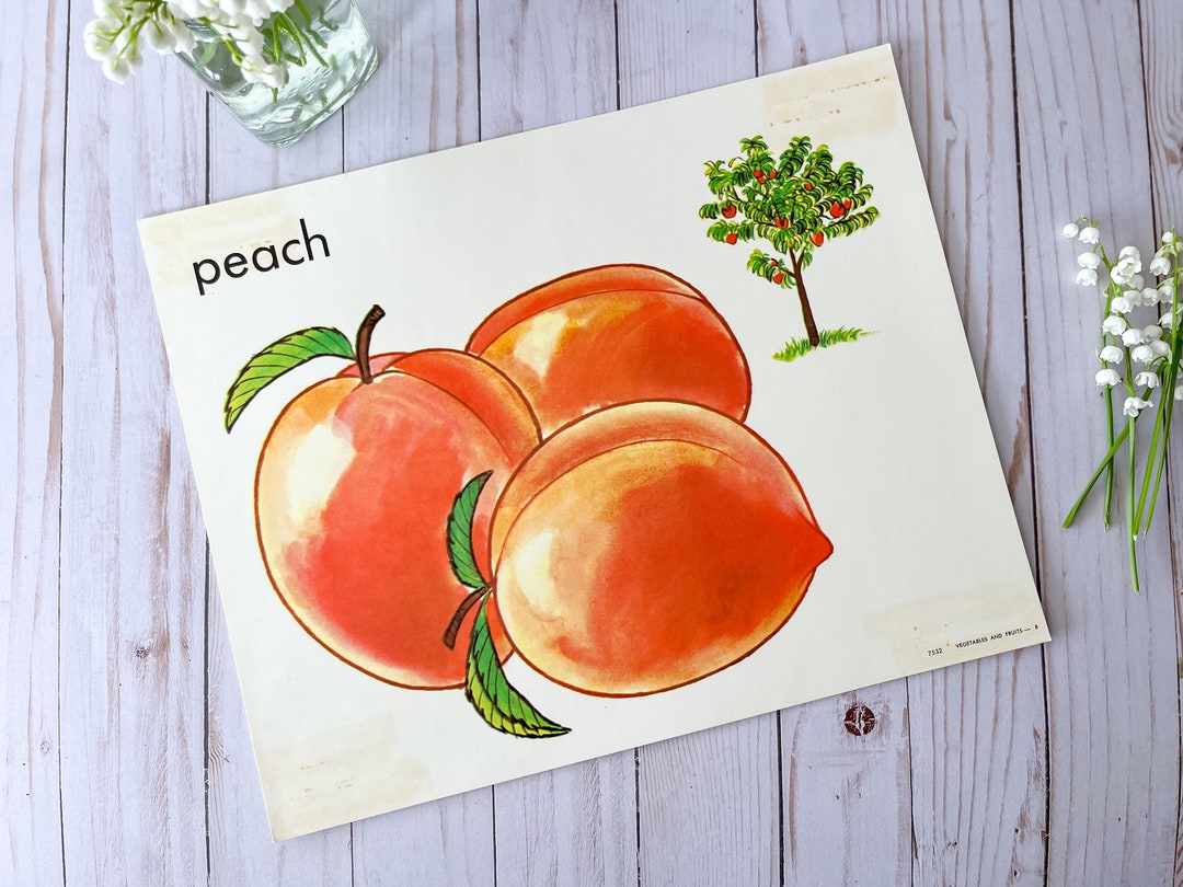 Large Vintage peach Flash Card - Etsy