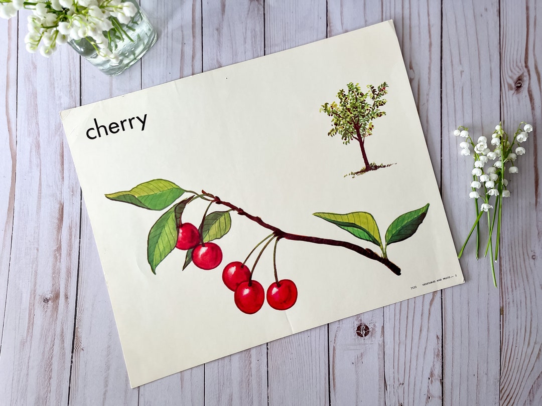 Large Vintage “cherry” Flash Card - Etsy