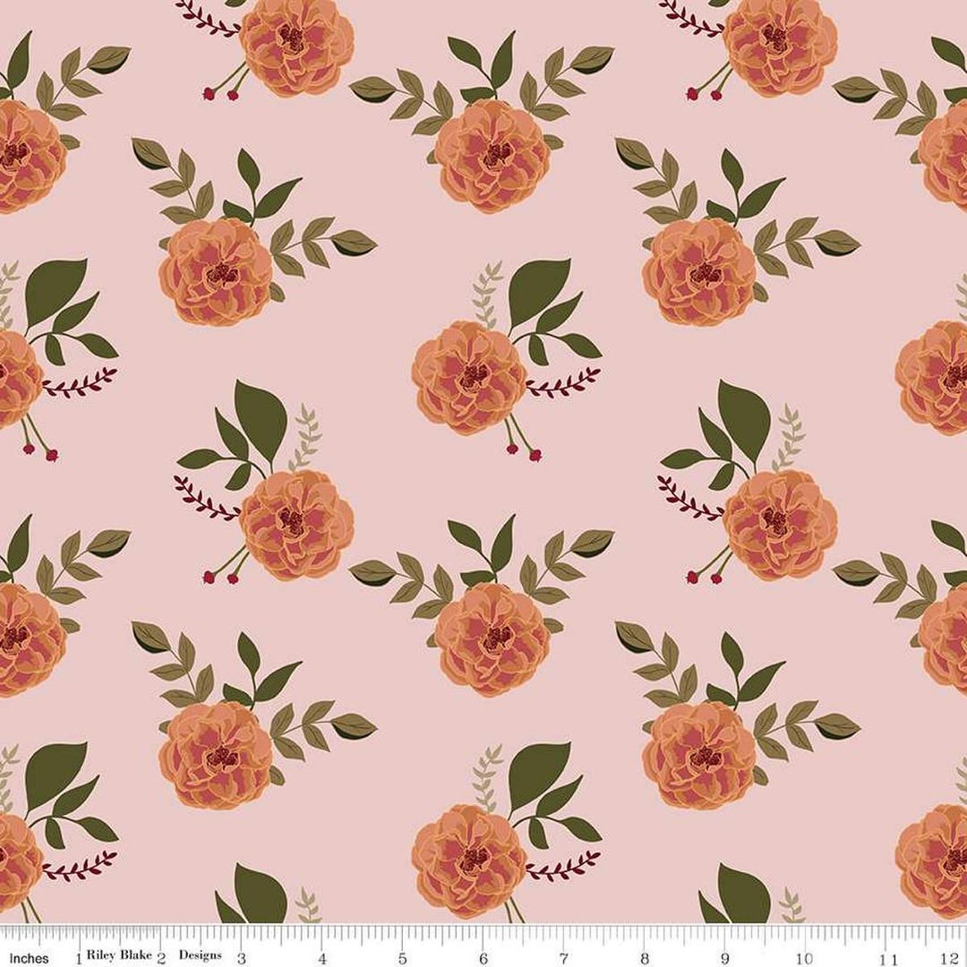 Roses Blush - Petal Song - Corri Sheff - Etsy