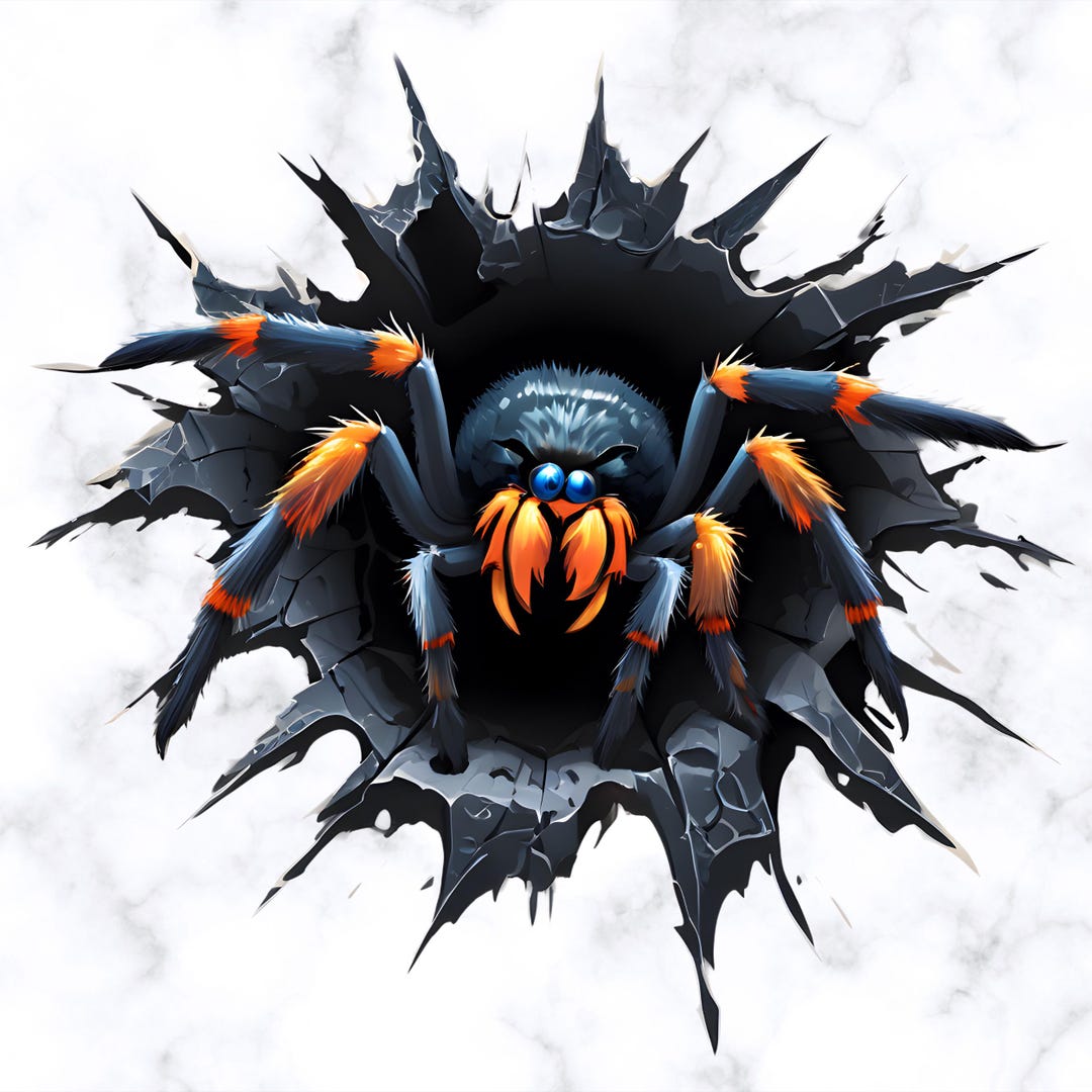 Spider Clipart PNG | Tarantula Digital Illustrations | Spooky Halloween ...