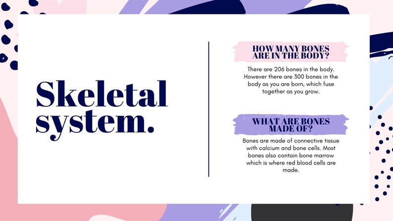 Skeletal System Revision Tool Part 1 - Etsy