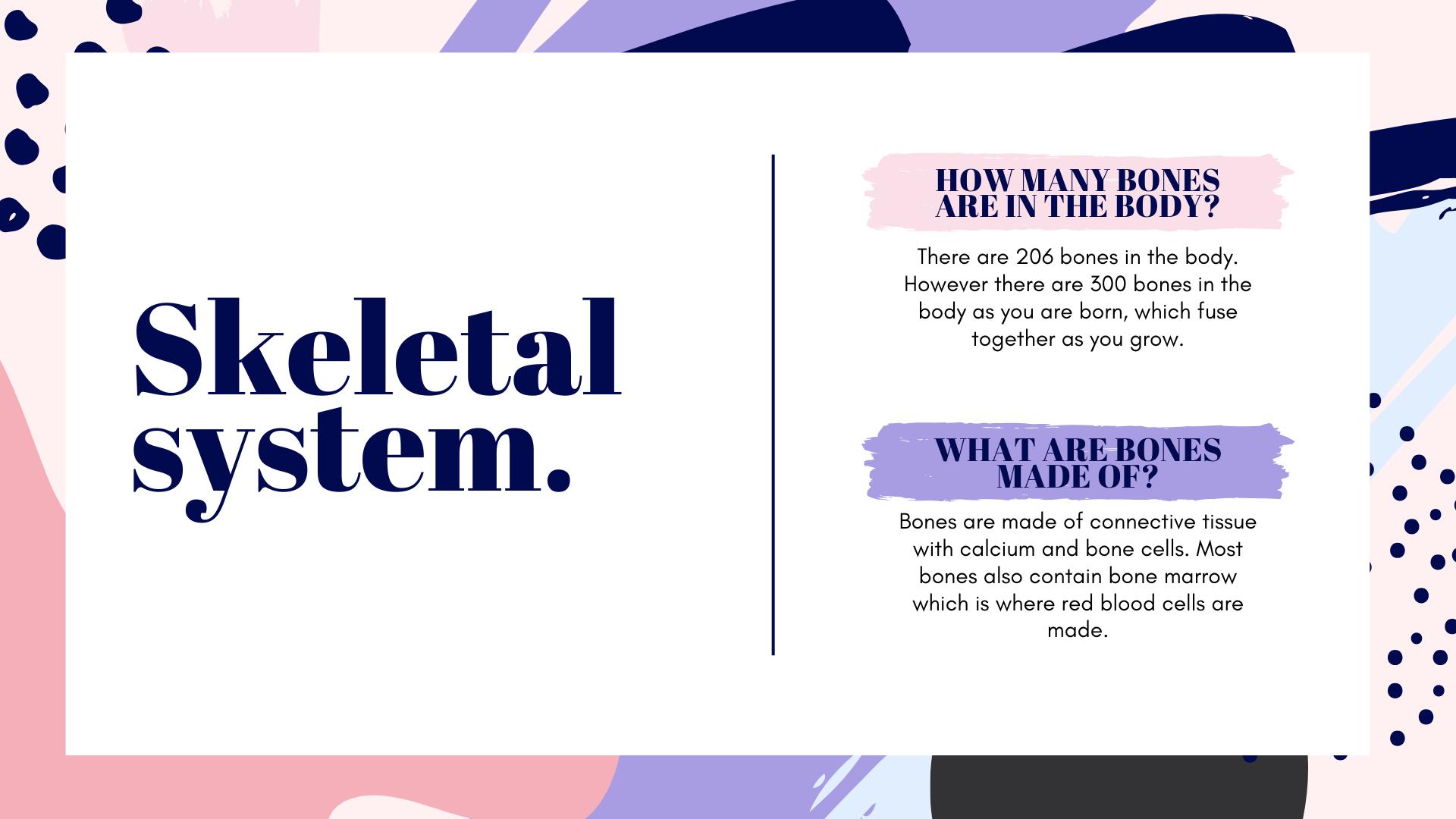 Skeletal System Revision Tool Part 1 - Etsy