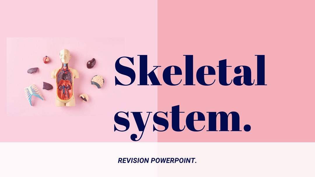 Skeletal System Revision Tool Part 1 - Etsy